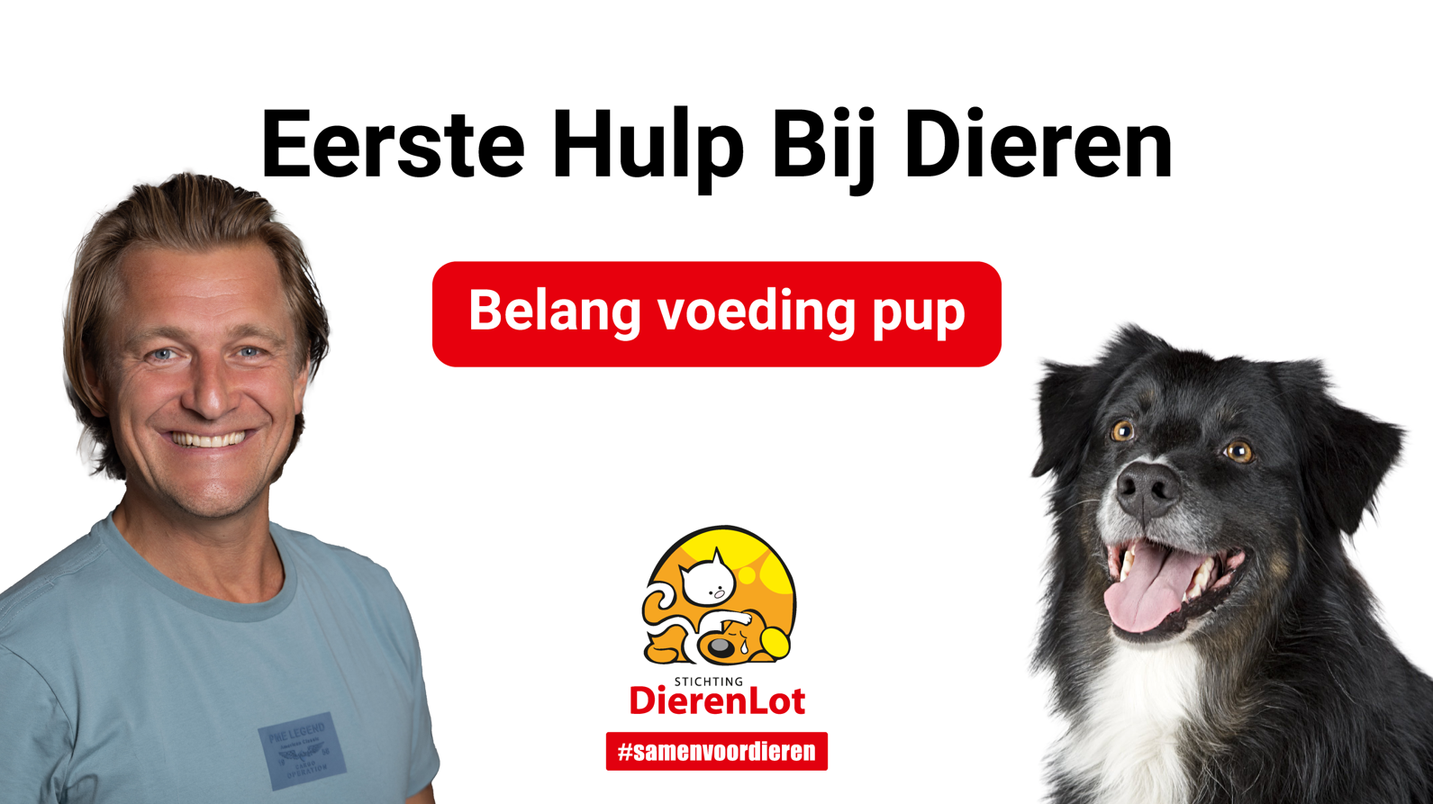 Puppy voeding | Stichting DierenLot
